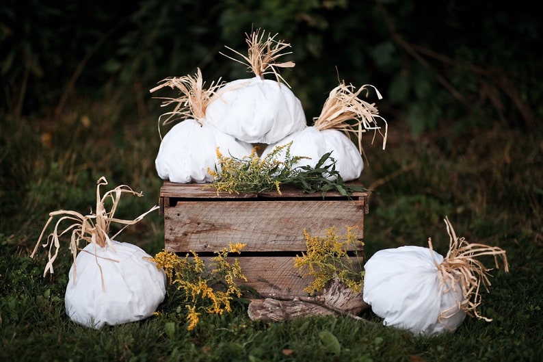 Garlic Hat Garlic Festival Garlic Fascinator Foodie Gift - Etsy