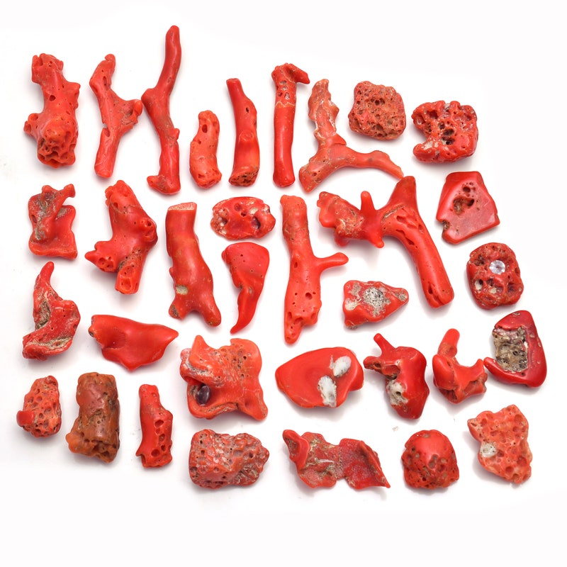 Coral Chips - Etsy