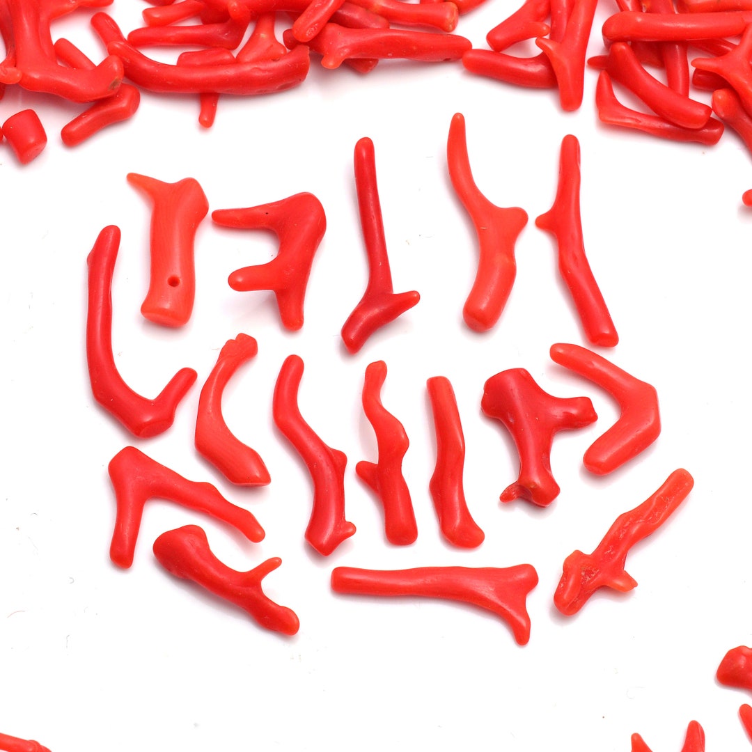 Red Coral Gemstone Sticks, Italian AAA Polished Rough, 50 Cts - Etsy