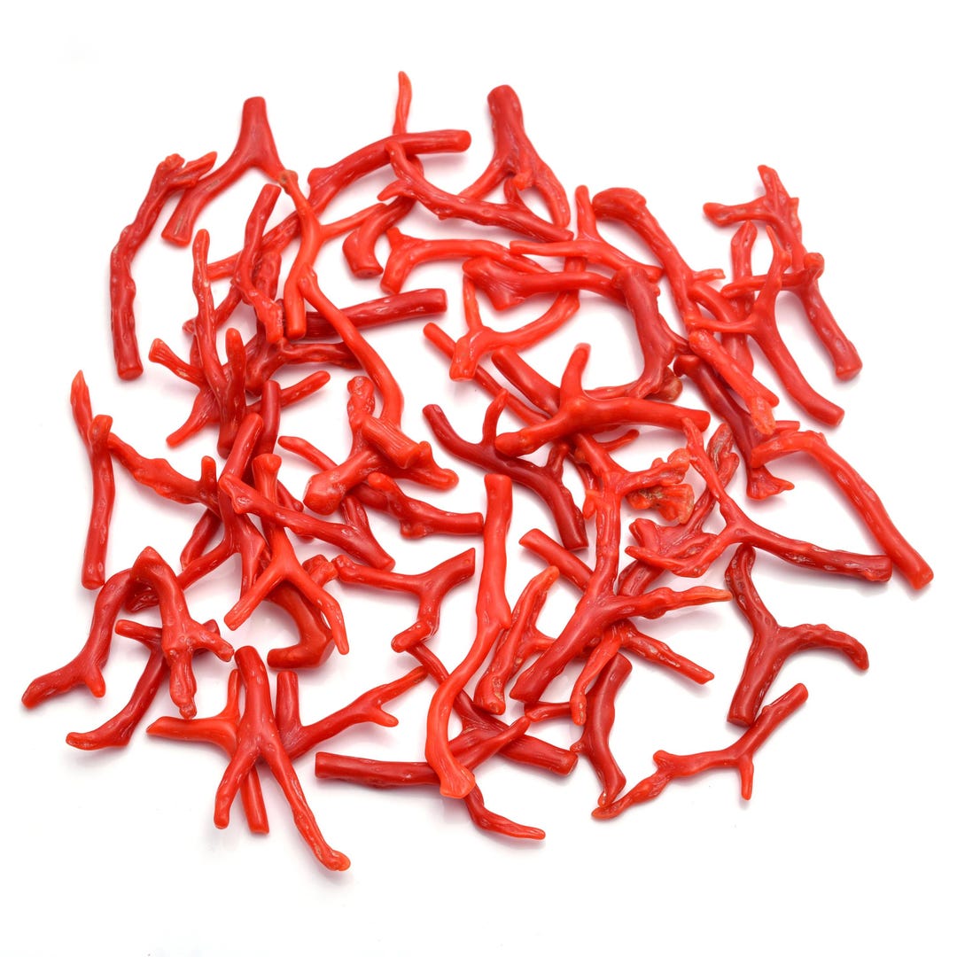 Natural Red Coral Branch Gemstones, Polished AAA Italian Coral Sticks ...
