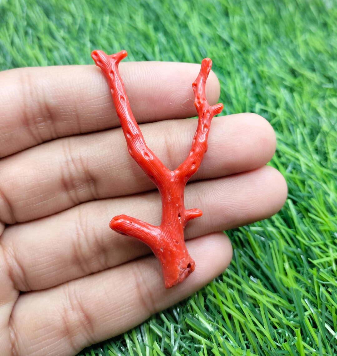 Red Coral Gemstone, Raw Italian Coral Stick, Natural Italian Coral ...