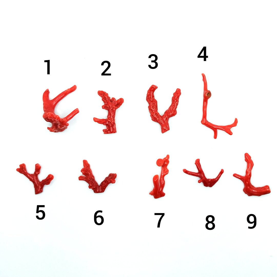 Red Coral Gemstone, Raw Italian Coral Stick, Natural Italian Coral ...