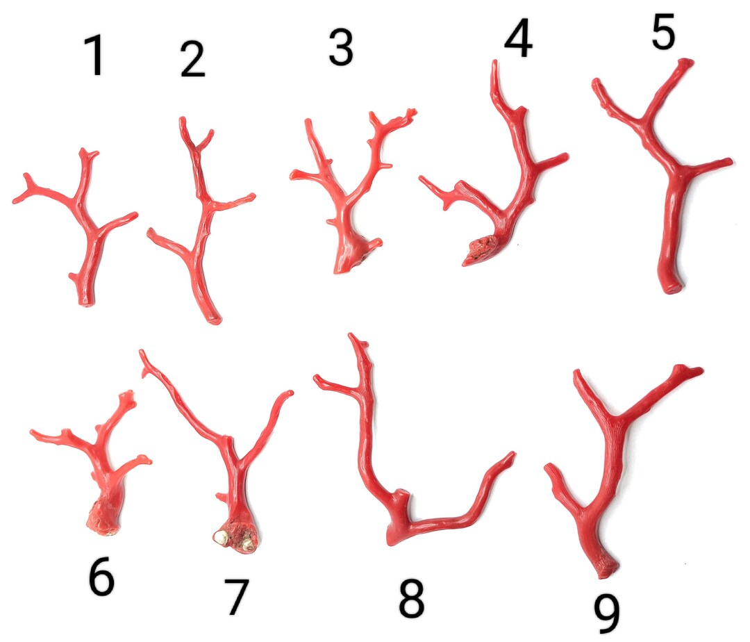 Red Coral Gemstone, Raw Italian Coral Stick, Natural Italian Coral ...