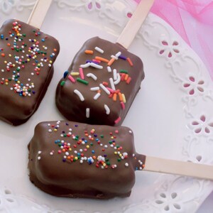 Brownie on A Stick - 1 Dozen - Chocolate Treat - Brownie Pop - Confetti ...