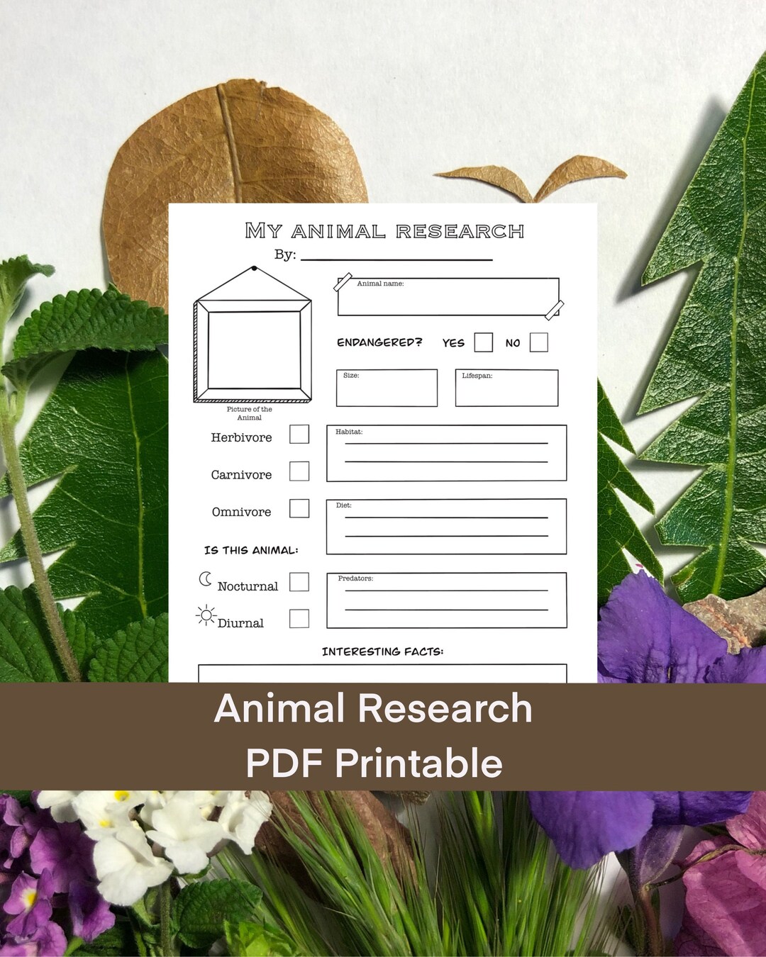 Animal Research PDF Printable Activity, Digital Download, Instant ...