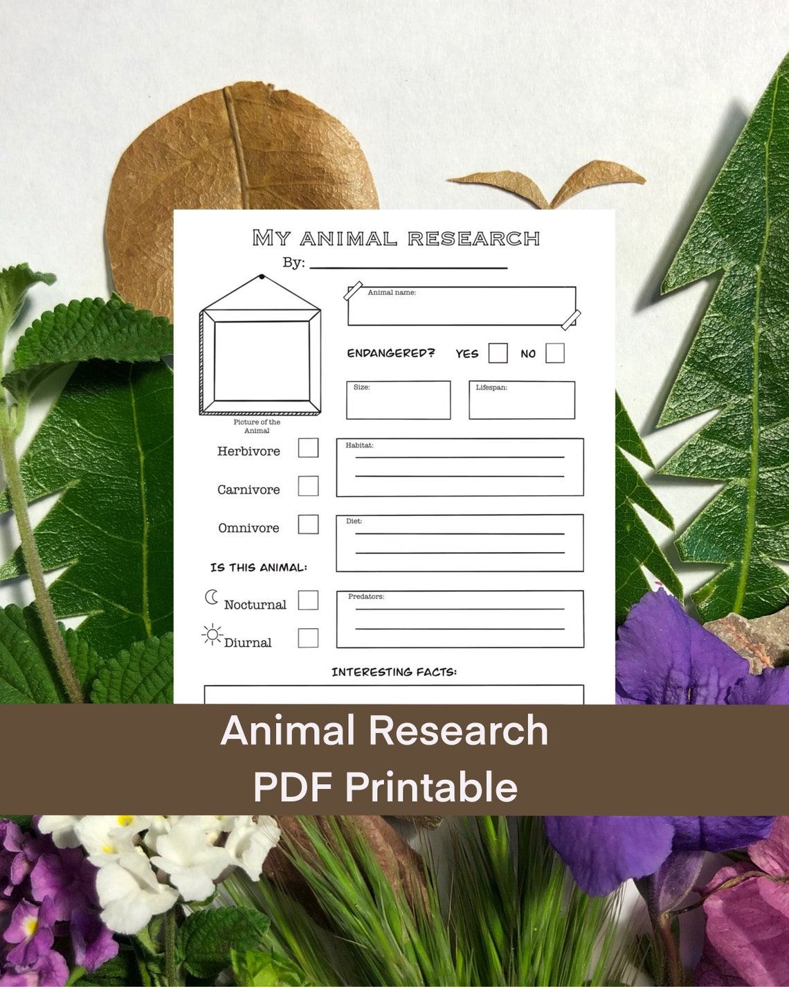 Animal Research PDF Printable Activity, Digital Download, Instant ...