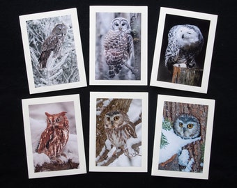 Winter Owl - Etsy