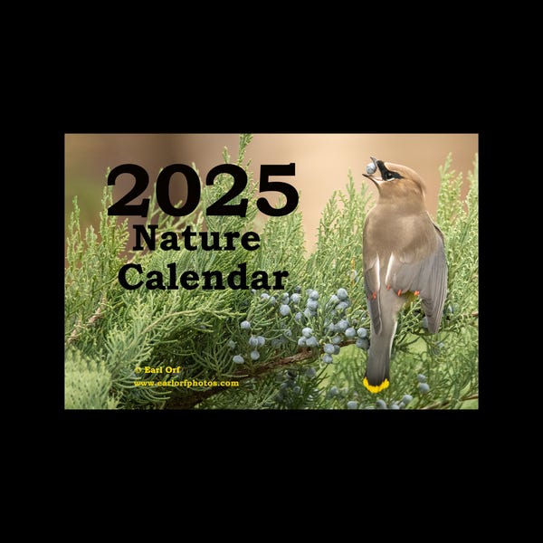 Nature Calendar - Etsy