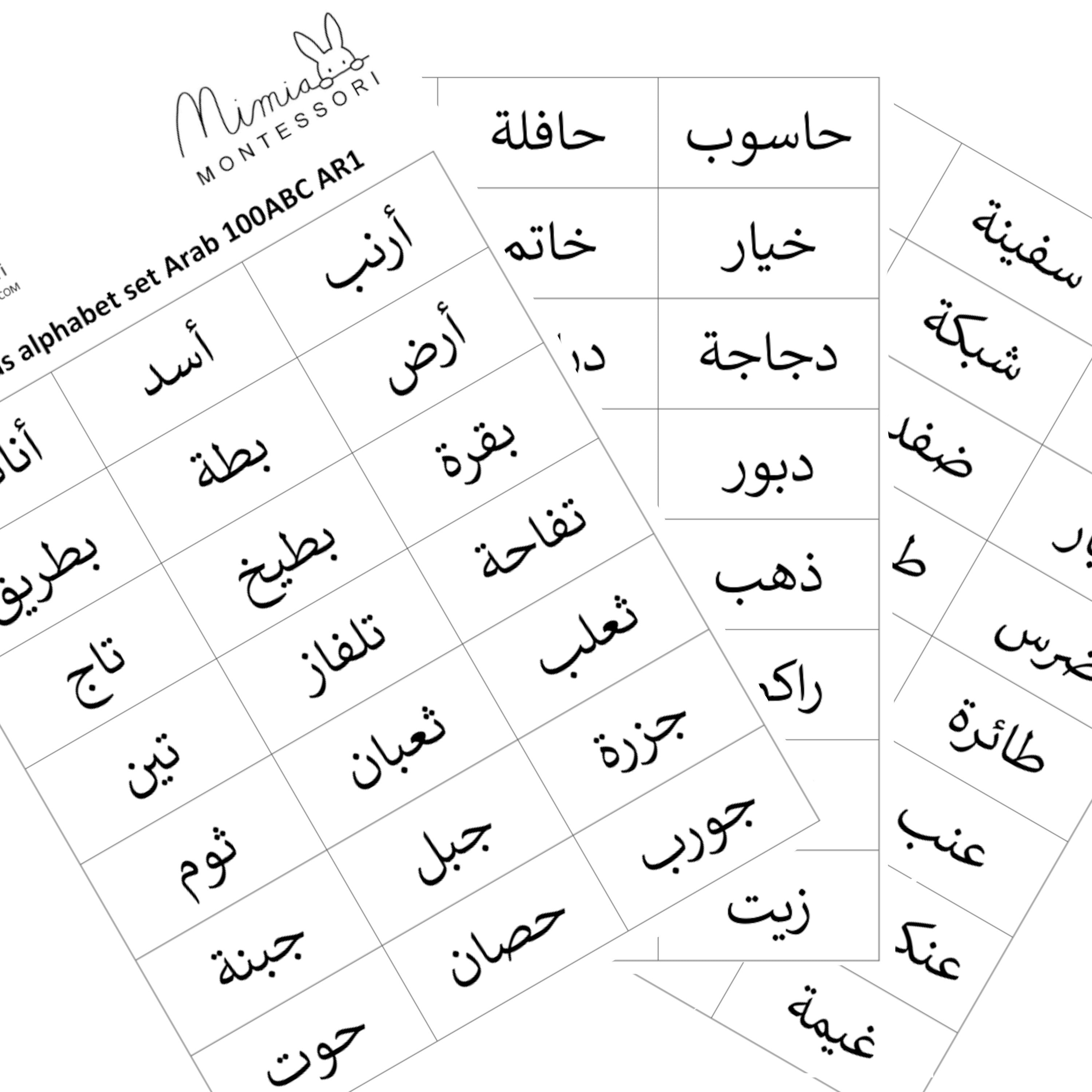 ABC Arab Alphabet Objects, Montessori Sound Box Miniatures, White ...