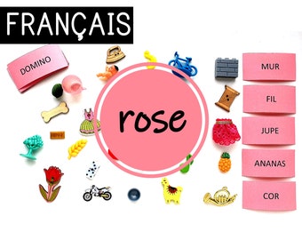 Printable Montessori Pink Series Photos and Words Cards in - Etsy