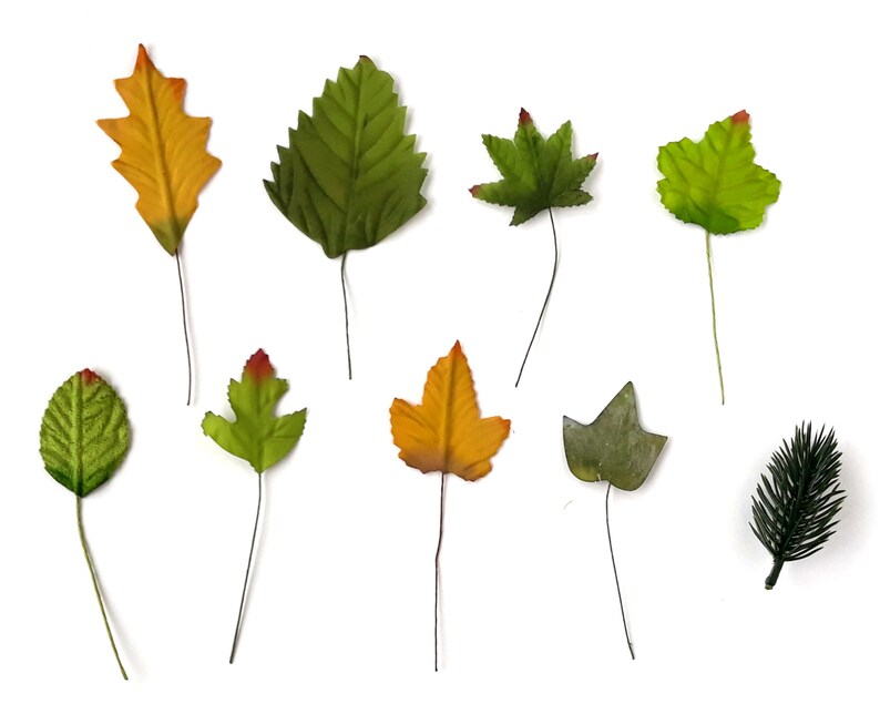 Botany Cabinet Extension Montessori Leaf Shapes Types Of Etsy botany-cabinet-extension-montessori-leaf-shapes-types-of-etsy