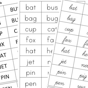 Pink Series 60 CVC Words Montessori Language Material Objects ...