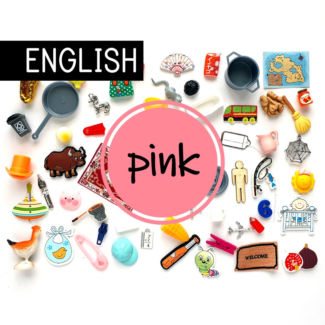 Pink Series 60 CVC Words Montessori Language Material Objects ...