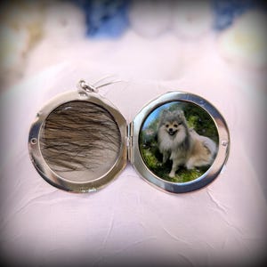 Dog Locket With Fur and Photo Option, Locket for Men or Women - Etsy