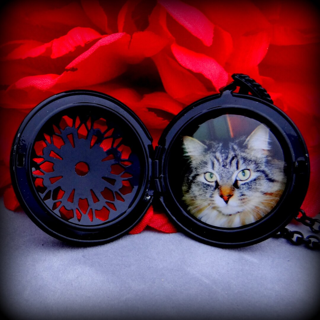 Cat Necklace Memory Locket Antique Style Locket 2 Photos Option - Etsy