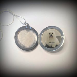 Dog Locket With Fur and Photo Option, Locket for Men or Women - Etsy