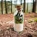 4 Elements Spell Jars Set Earth Air Fire Water: Perfect - Etsy