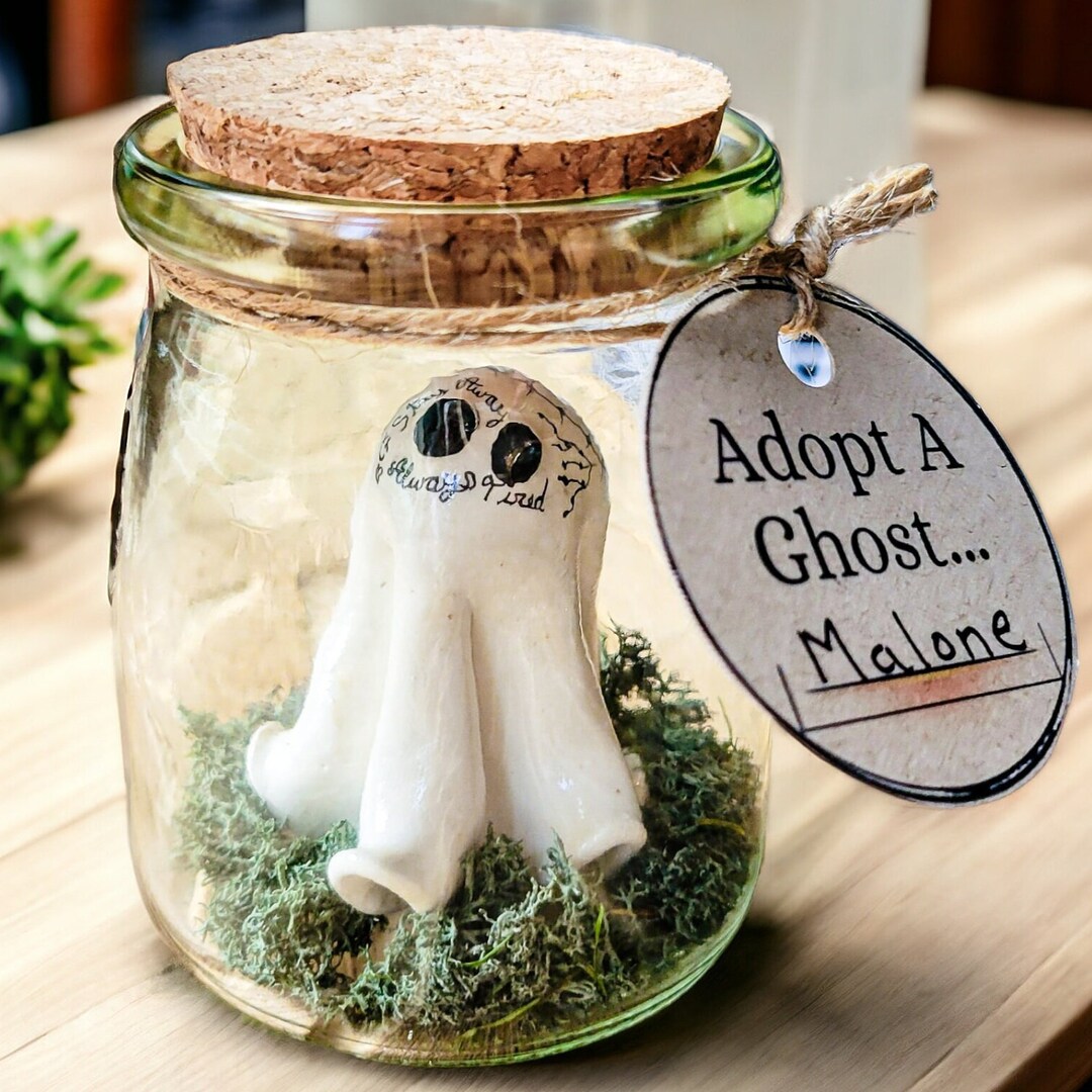 Ghost Malone Pet Ghost in a Jar | Adopt a Ghost | Handmade Funny Desk ...