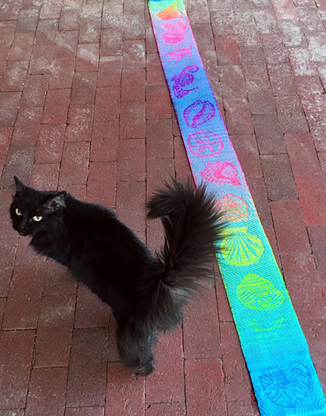 12 Seashell Pattern Charts Freeform Overshot Sea Life Rigid Heddle ...