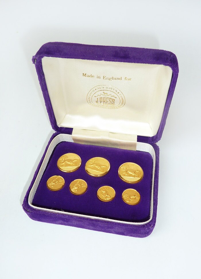 Set of Seven Hunting Dog Jacket Buttons in Original Box - Etsy