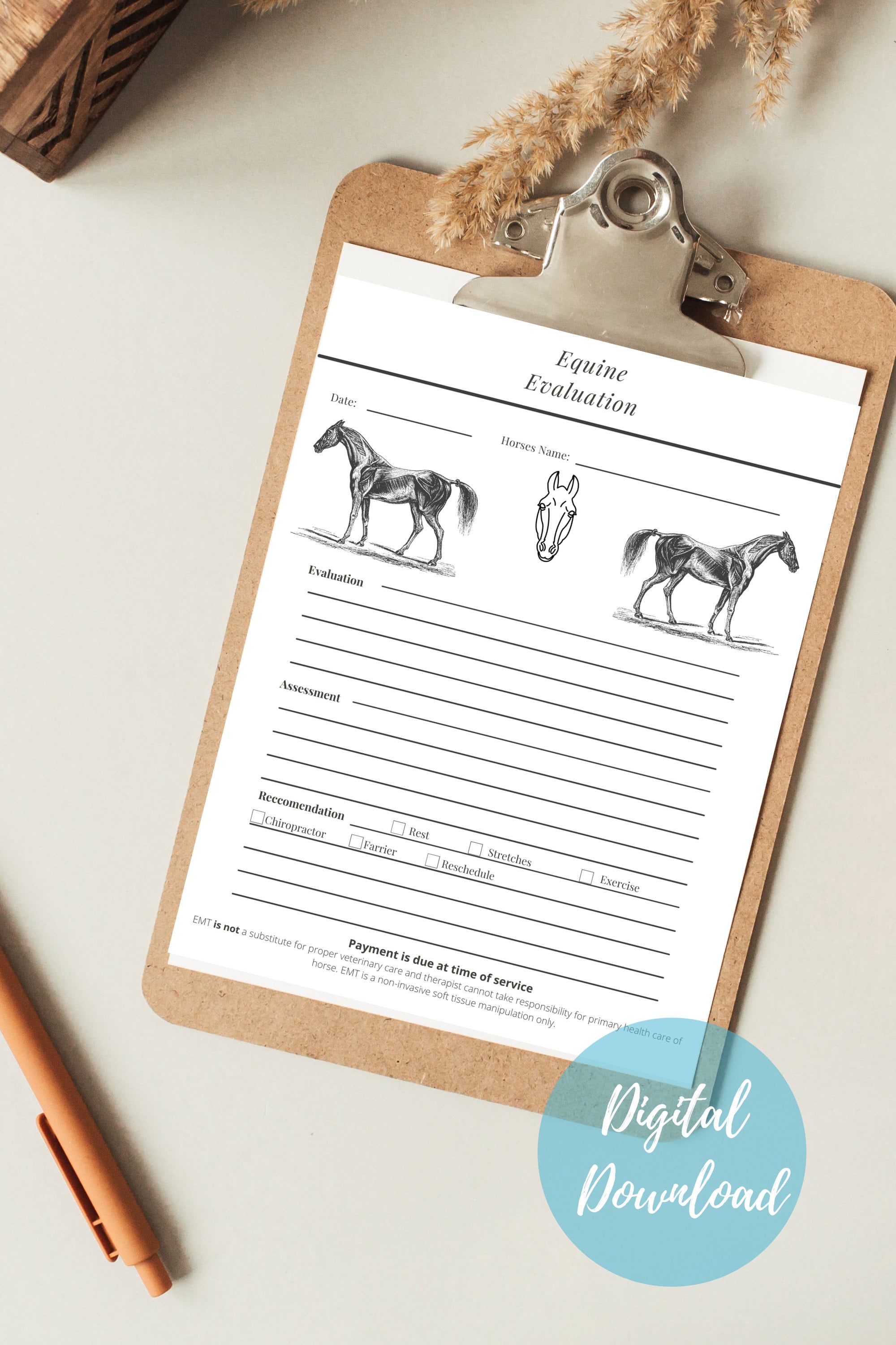 Equine Assessment Form With Muscles - Etsy