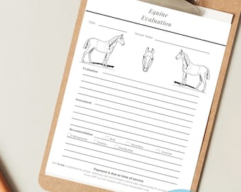 Horse Assessment Form - Etsy UK