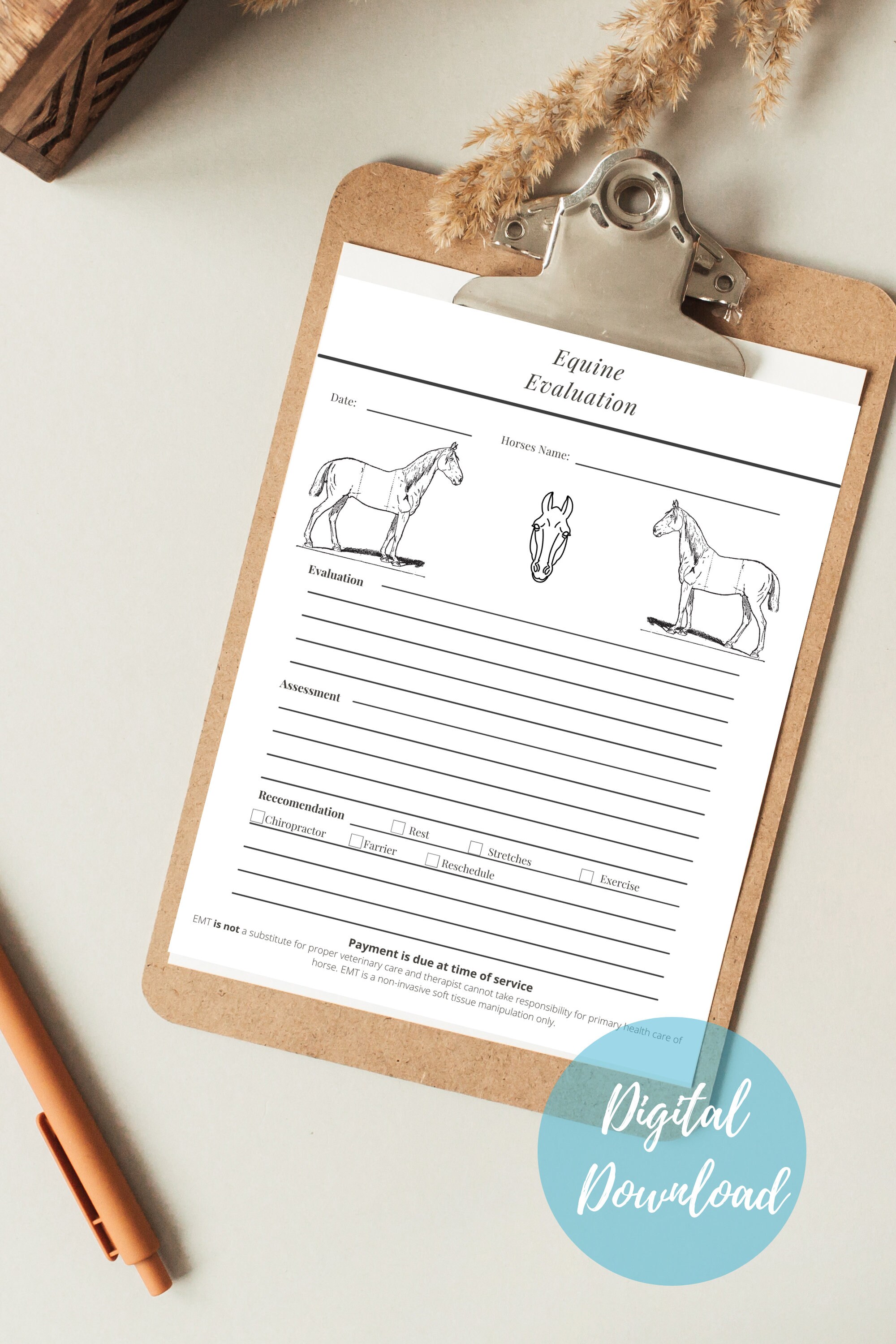 Equine Assesment Form - Etsy