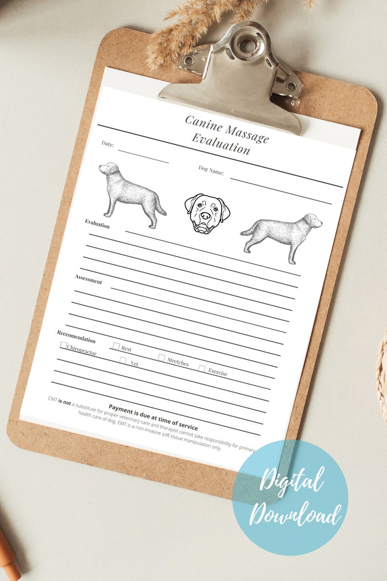 Canine Assesment Form - Etsy