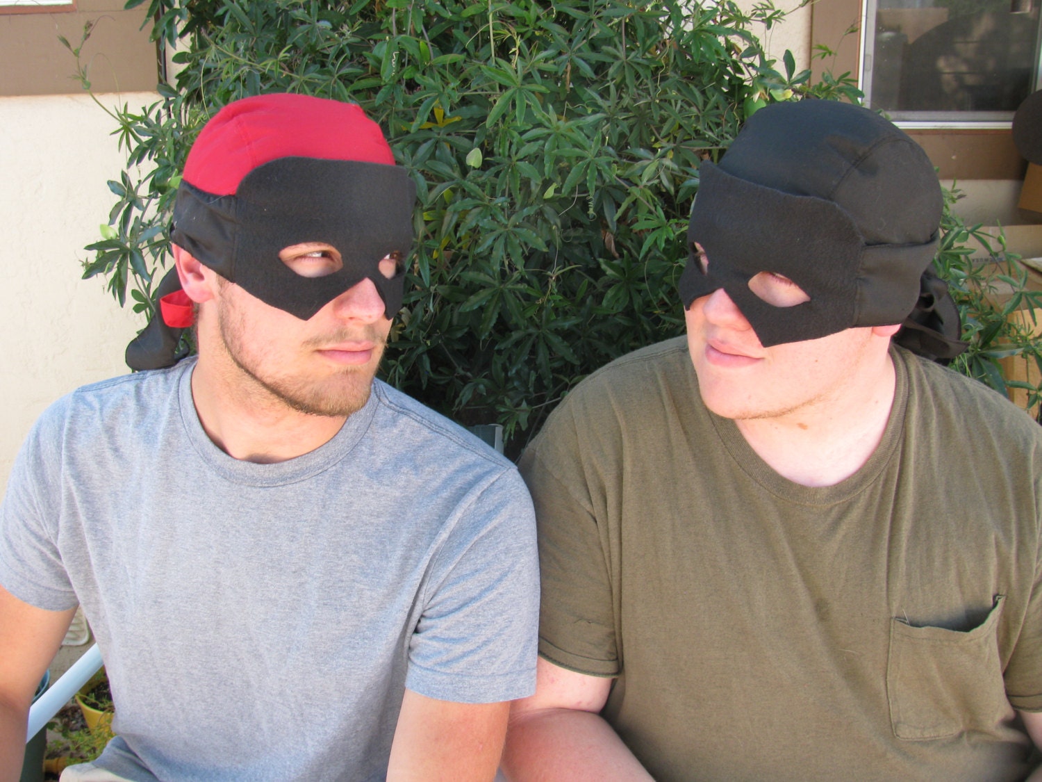 Princess Bride Westley Mask