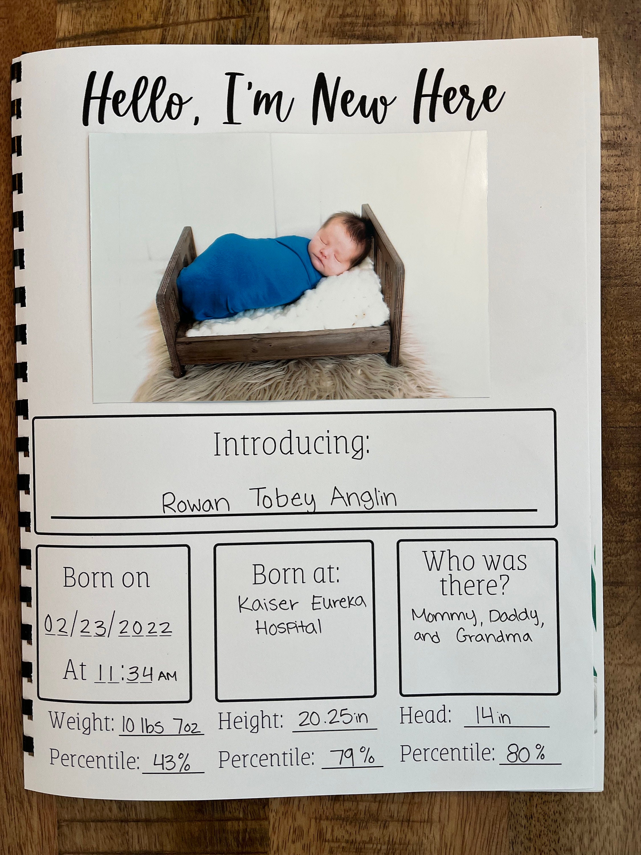 Baby Milestone Book, Printable Baby Milestone Book, Baby's First Year ...