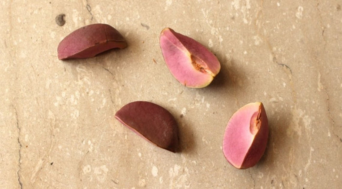 Yes/no Questions Obi Abata (kola Nut) Divination - Etsy
