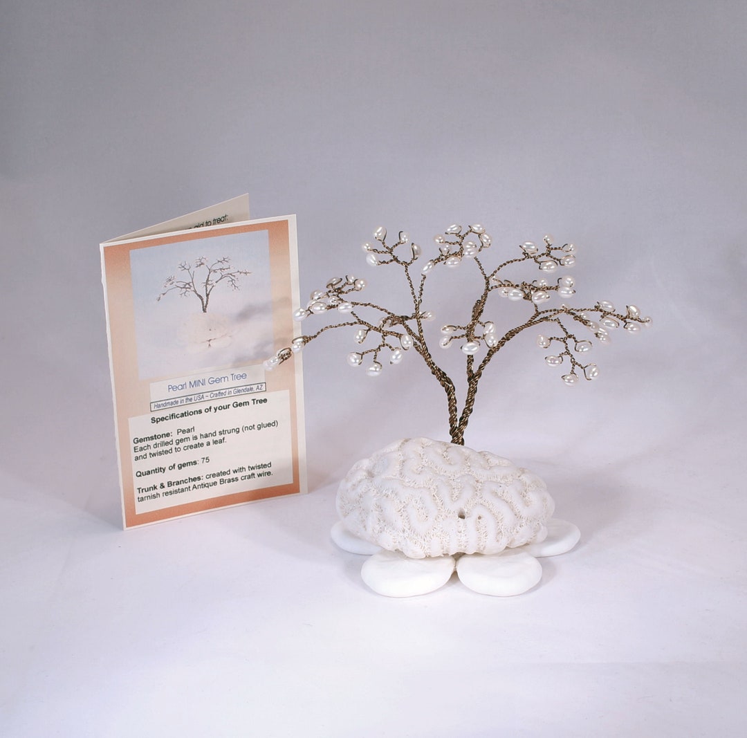 Pearl Gem Tree on Natural Coral Metaphysical Feng Shui - Etsy