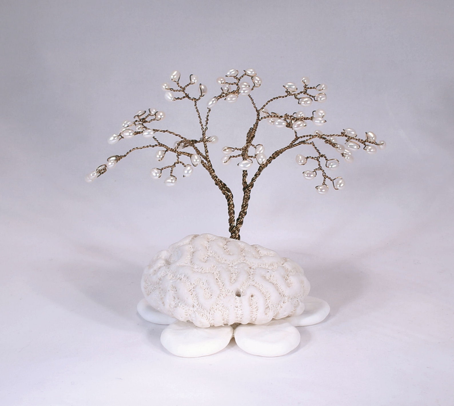 Pearl Gem Tree on Natural Coral Metaphysical Feng Shui - Etsy