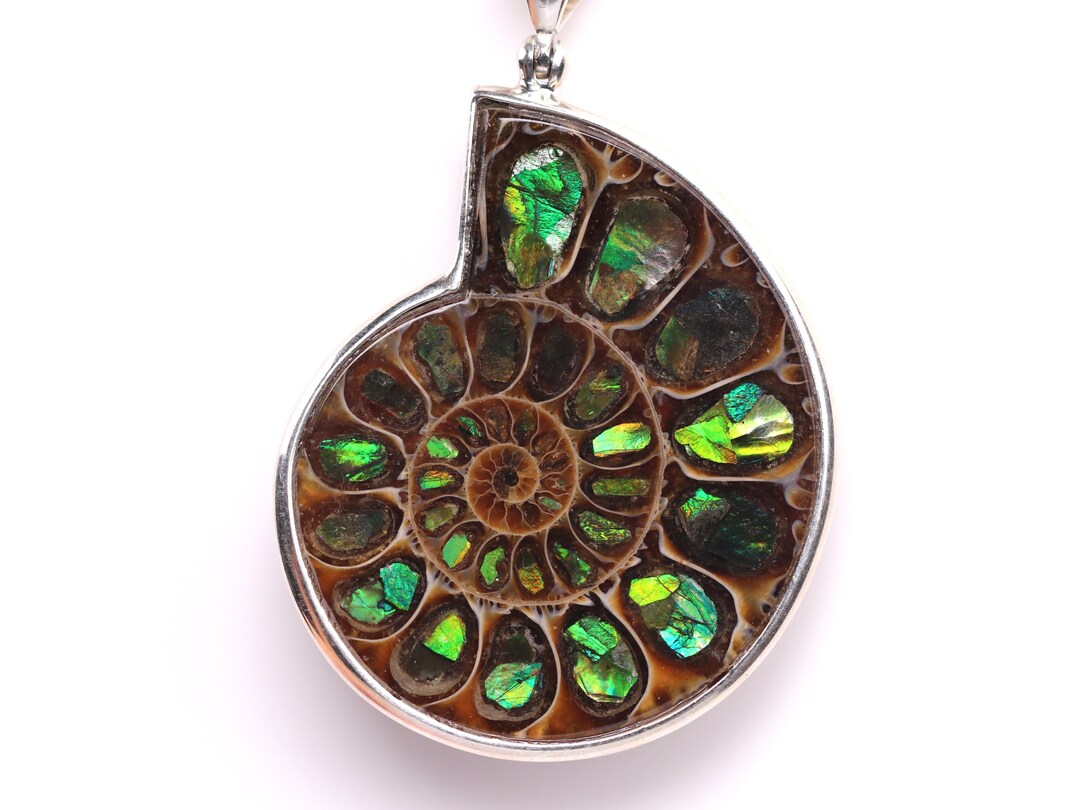 Large Ammonite Inlay Pendant With Ammolite Sterling Silver Statement ...