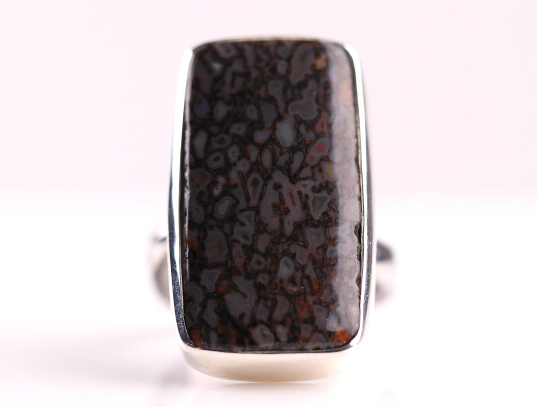 Dinosaur Bone Fossil Ring - Adjustable Band - Sterling Silver One of a ...