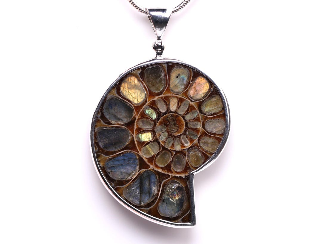Natural Ammonite Inlay Pendant With Genuine Labradorite - Sterling ...
