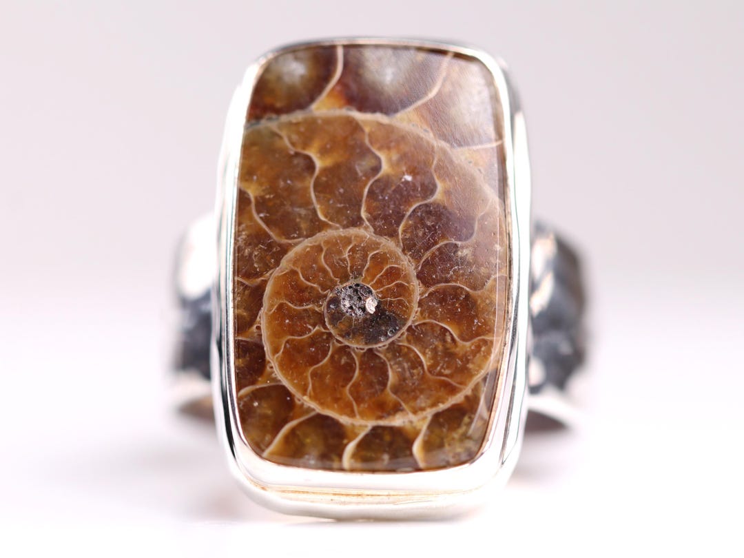 Size 13 Large Ammonite Ammonite Fossil Ring Sterling Silver Ring One of ...