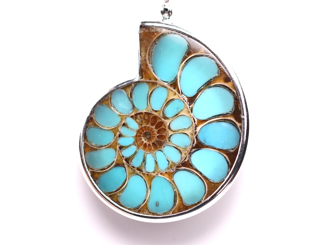 Large Ammonite Inlay Pendant With Genuine Natural Turquoise - Sterling ...