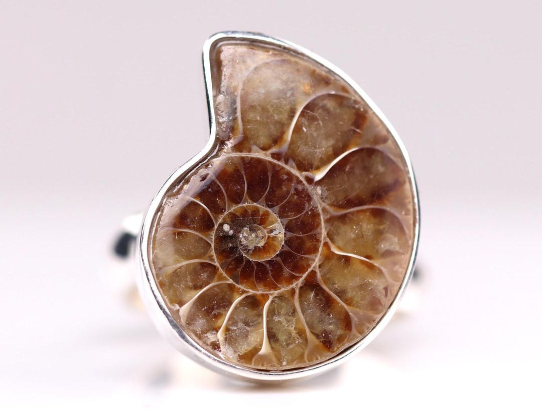 Ammonite Fossil Ring - Adjustable Size - Sterling Silver One of a Kind ...