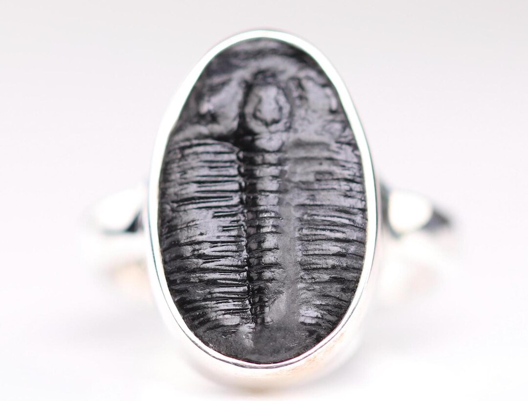 Size 5 - Trilobite Fossil Ring - Sterling Silver Fossil One of a Kind ...