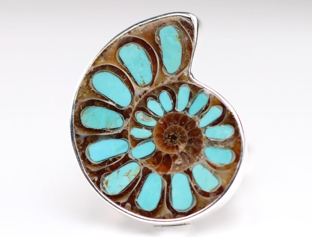 Ammonite With Turquoise Inlay Ring Adjustable Size Sterling Silver ...
