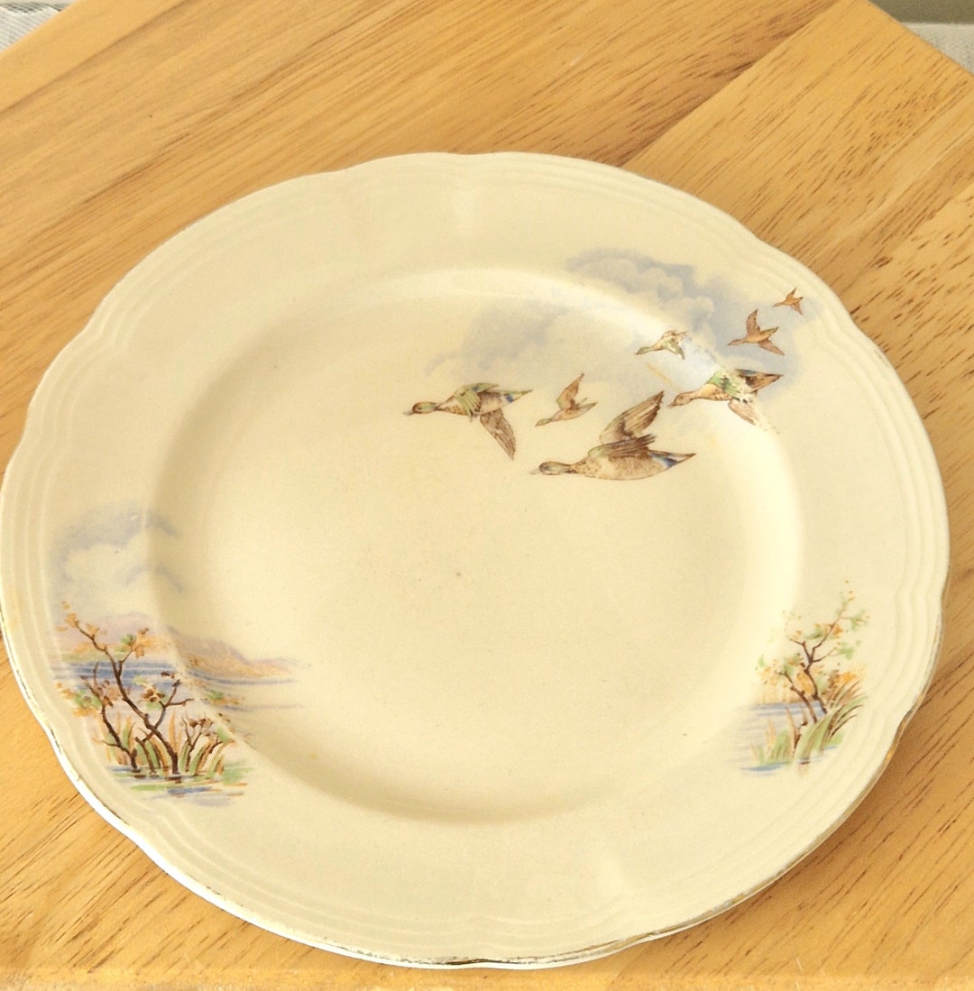 Vintage Plates, Alfred Meakin Plates, Vintage Decorative Plate - Etsy