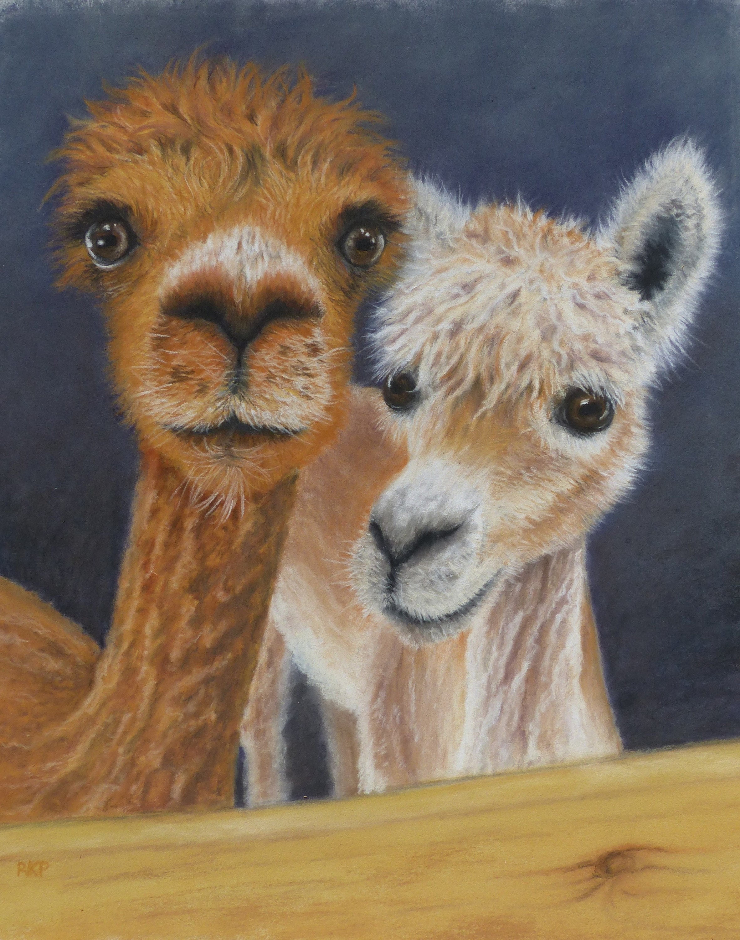 Original Art, Soft Pastel Painting of Alpacas. - Etsy