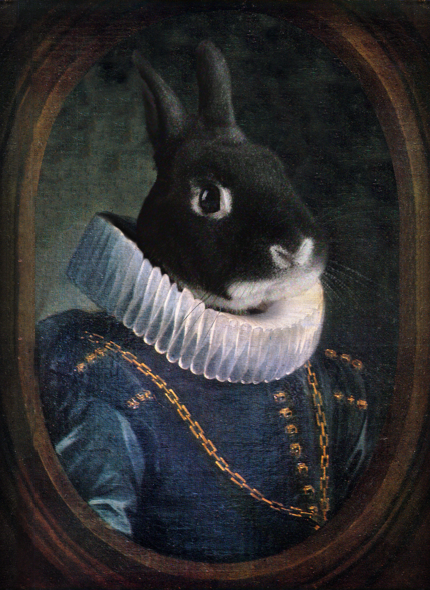 Lord Elliot Bunny Print | Digital Print | Royal Pet Portrait | Rabbit ...