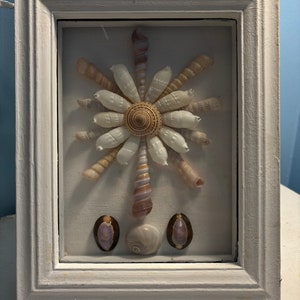 Handcrafted Seashell Shadow Box - Etsy