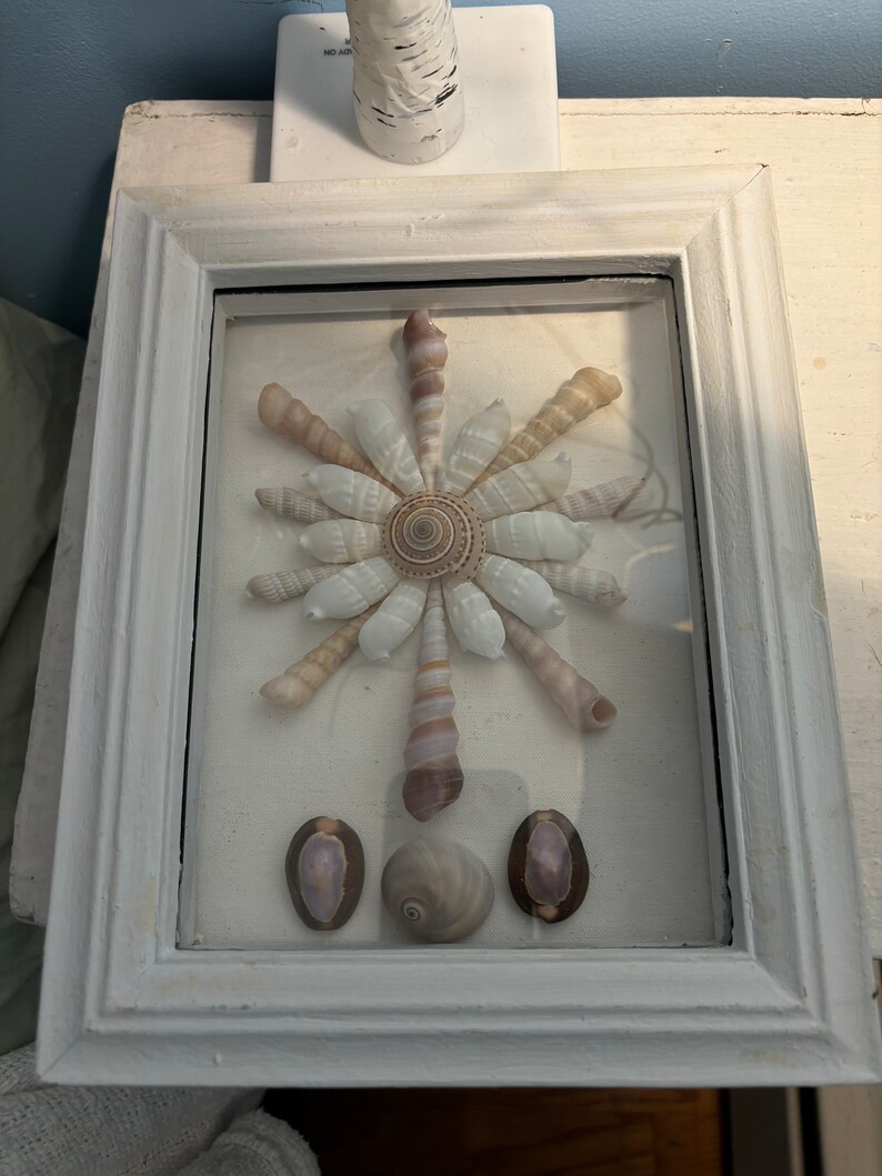 Handcrafted Seashell Shadow Box - Etsy