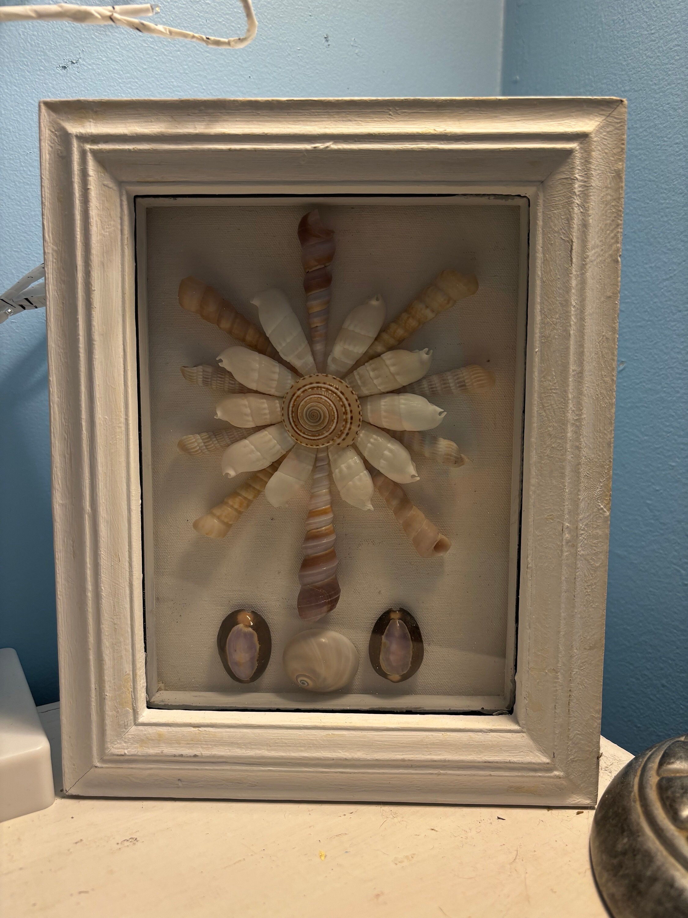 Handcrafted Seashell Shadow Box - Etsy