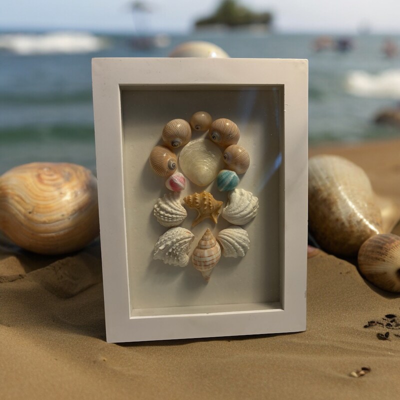 Seashell Shadow Box - Etsy