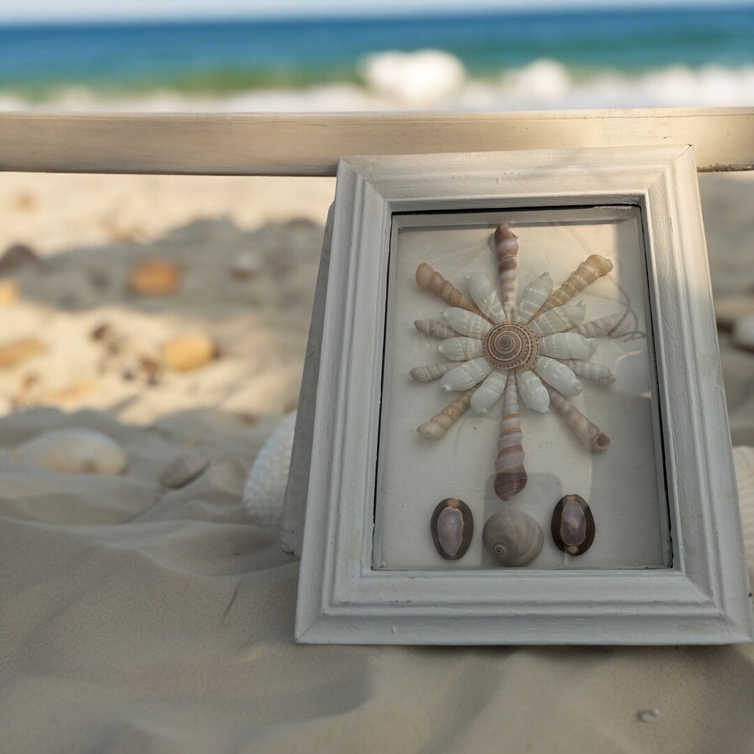 Handcrafted Seashell Shadow Box - Etsy