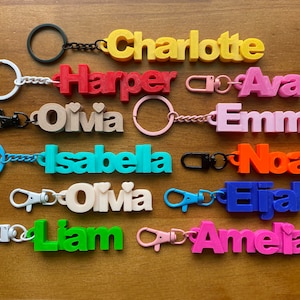 Bulk 5pcs 10pcs Customized Personalized 3D Printed Name Keychains ...